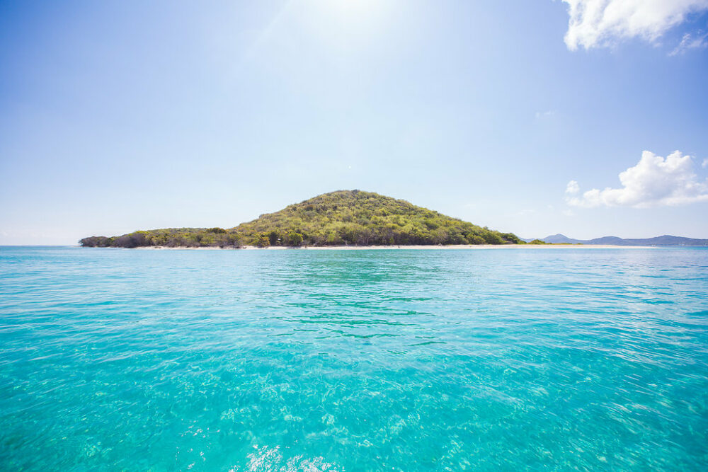 Caribbean Sea Adventures Half-Day Buck Island Snorkel Tour